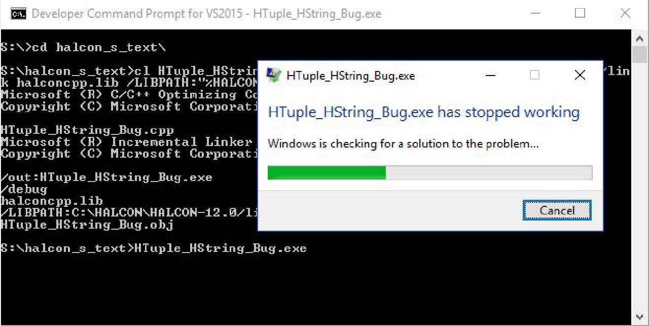 Common problems with HALCON's HTuple and HString (C++) · Heindl Solutions